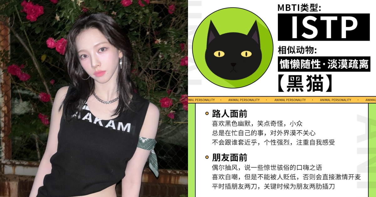 Dcard瘋傳「動物MBTI」心理測驗！12題測出你的MBTI內心隱藏版+代表動物！ ｜ POPO筆記