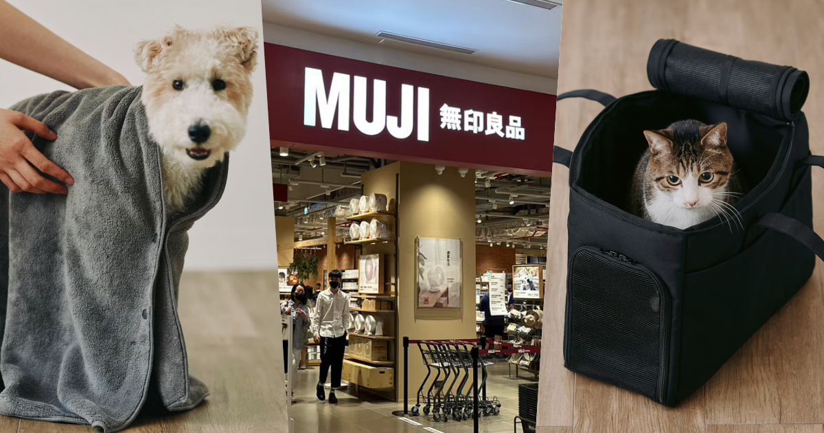 MUJI無印良品「寵物系列」再升級！全新極簡外出包日本爆紅、全尺寸吸水毛巾質感登場！ ｜ POPO筆記