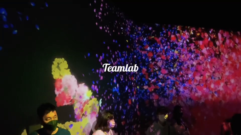 【台北景點】teamlab ｜ POPO筆記